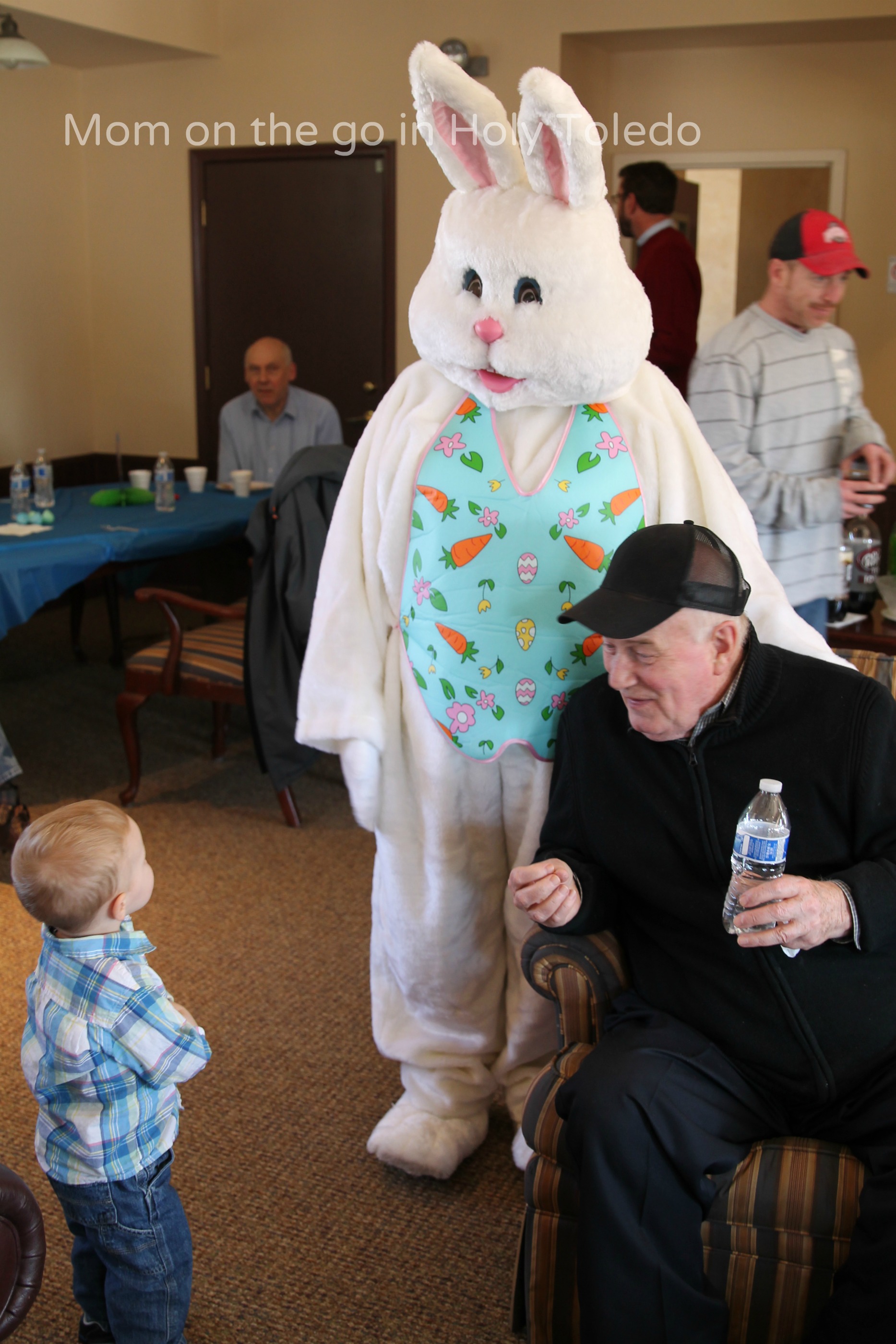 5 Reasons Why you need to Book the Easter Bunny (Discount included ...