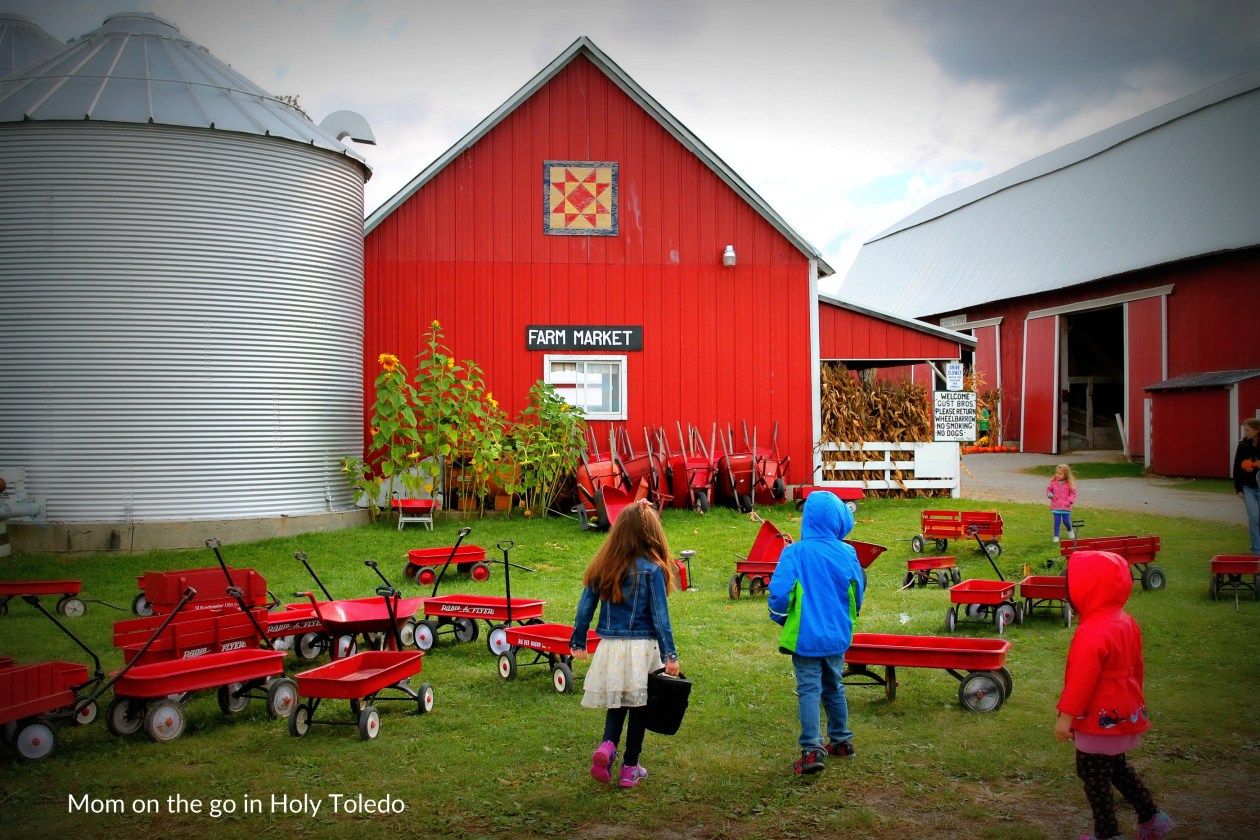 Best FREE Farm Experience! – Mom on the go in Holy Toledo