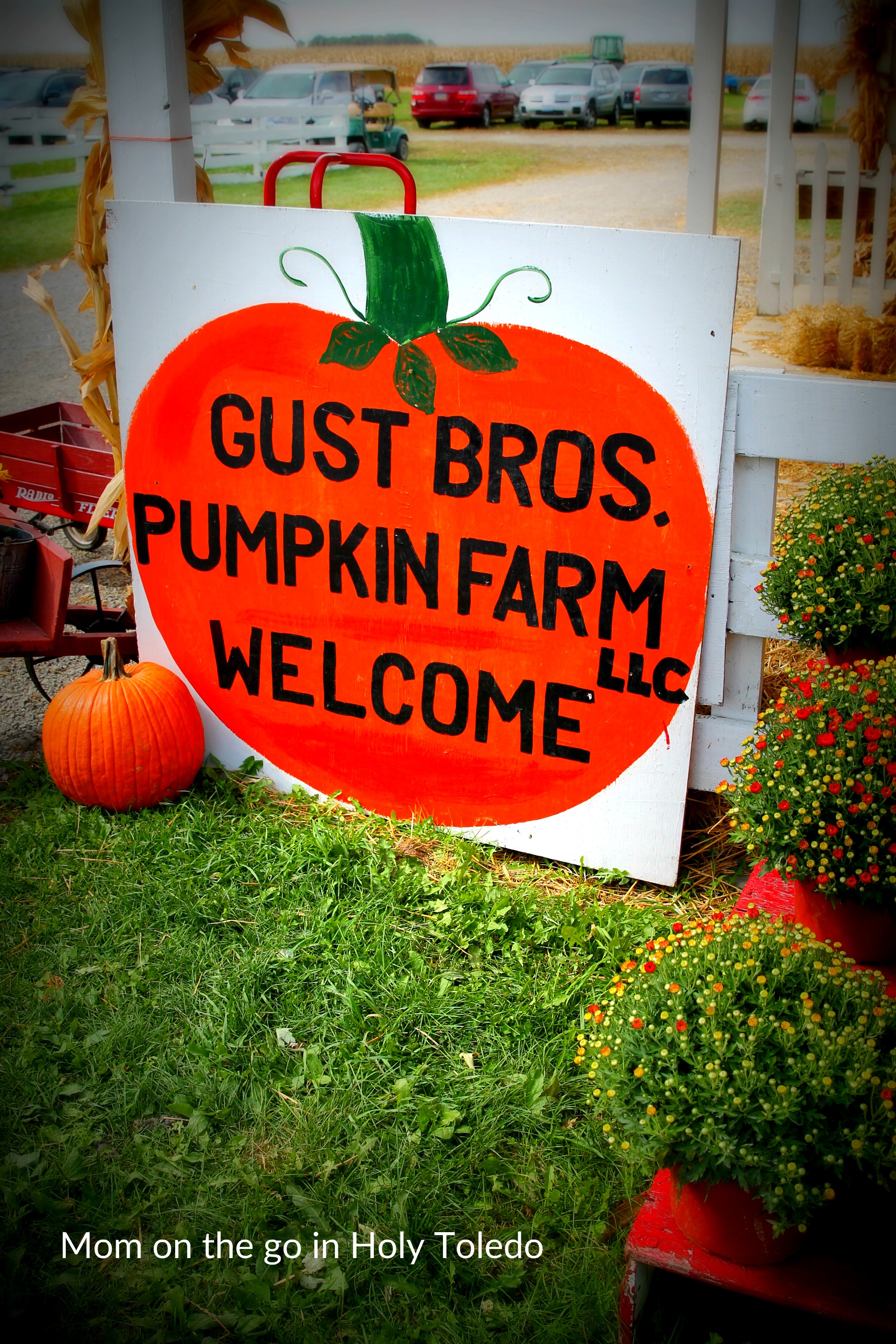 Best FREE Farm Experience! – Mom on the go in Holy Toledo
