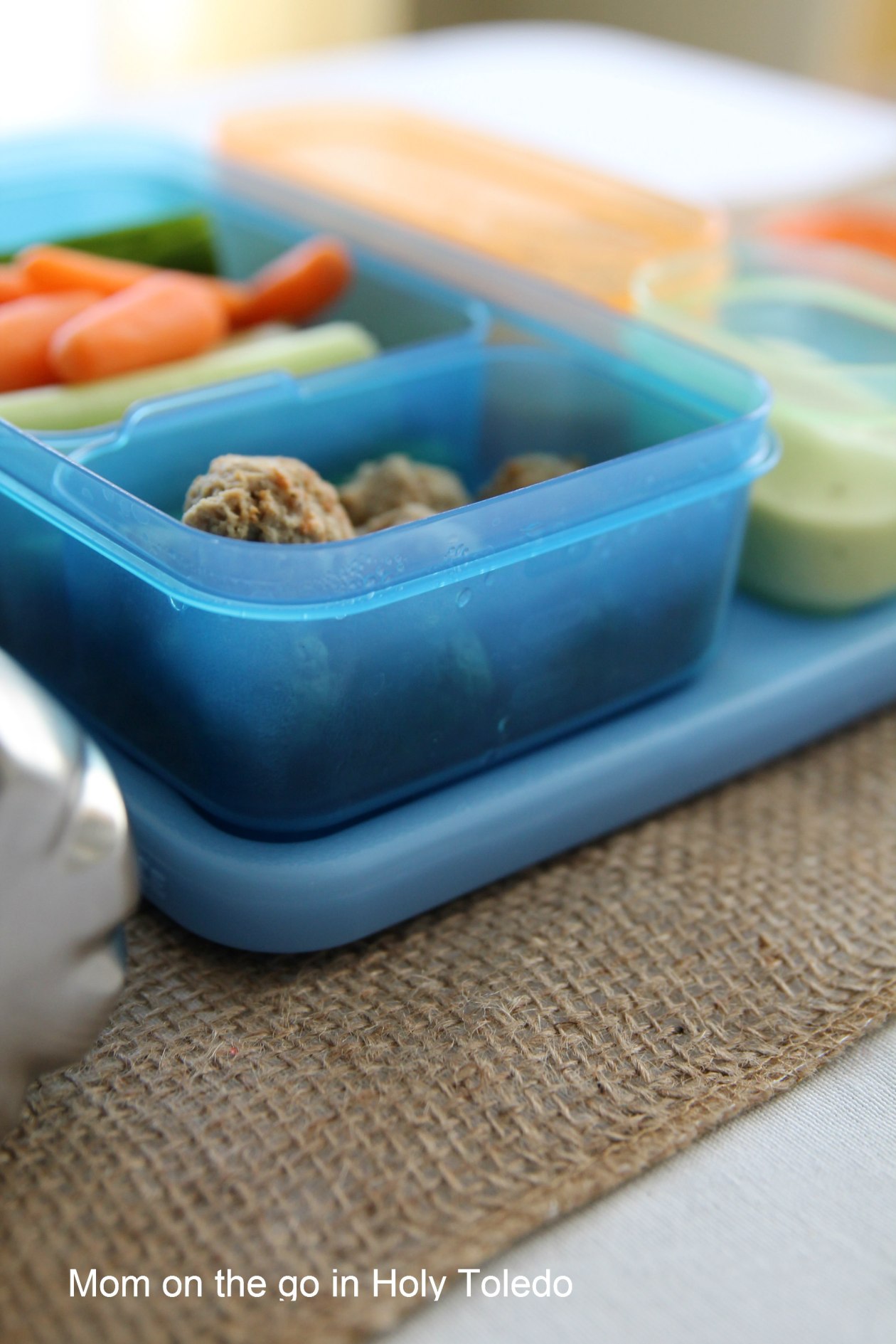 5 Tips for Packing Healthy Lunches your kids will actually eat! – Mom ...