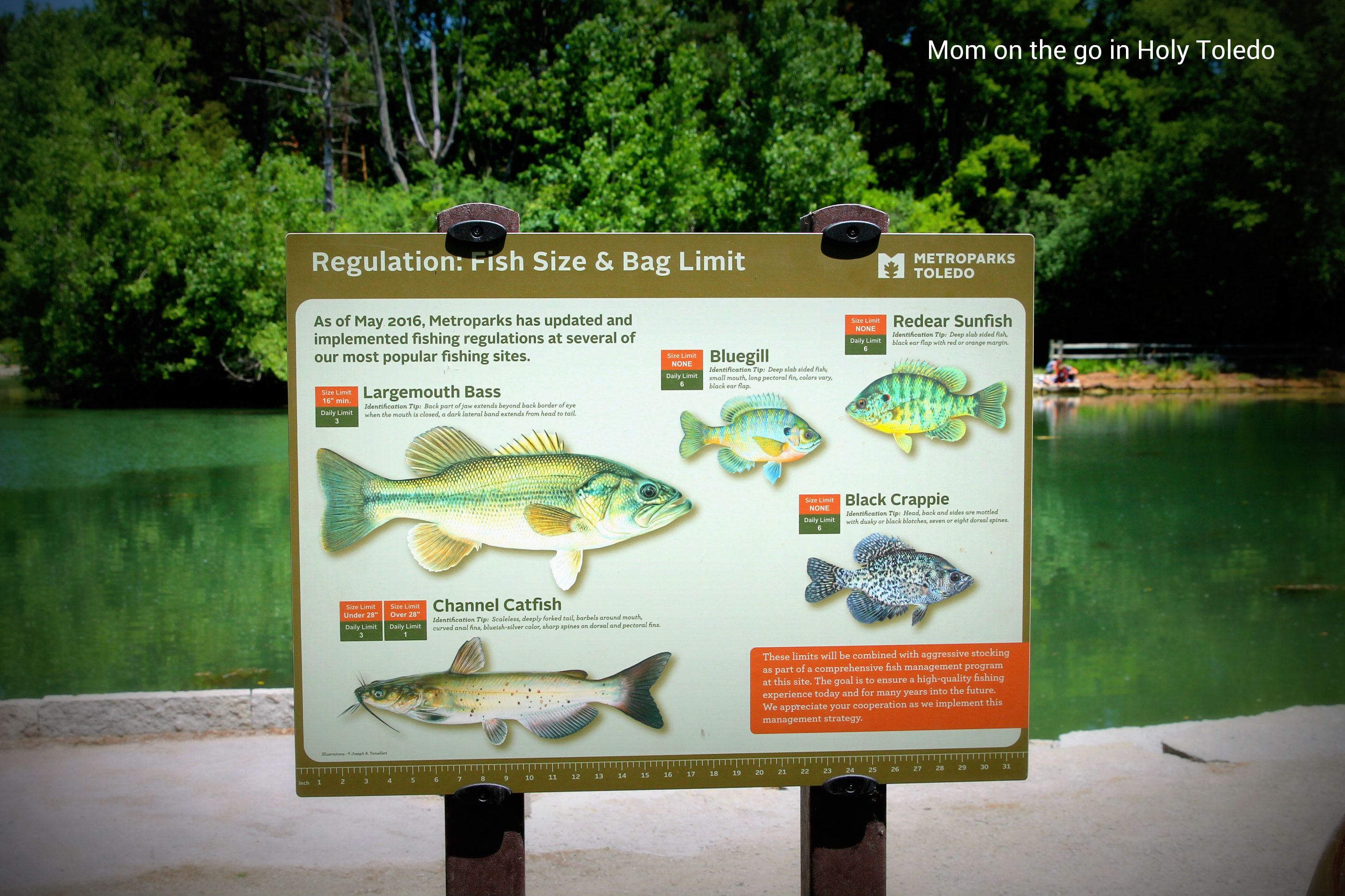 Toledo Treasure: Pearson Metropark – Mom on the go in Holy Toledo