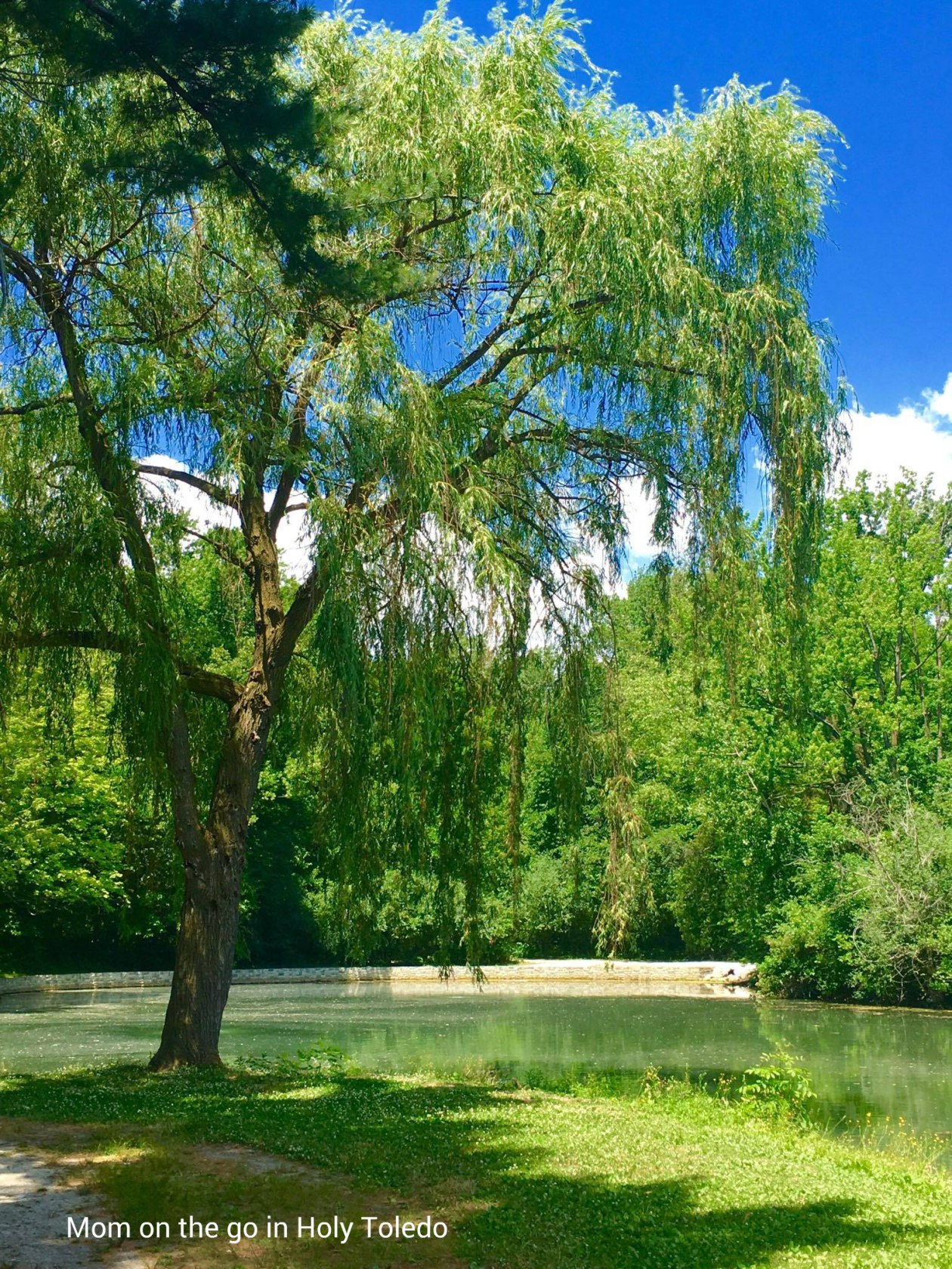 Toledo Treasure: Pearson Metropark – Mom on the go in Holy Toledo