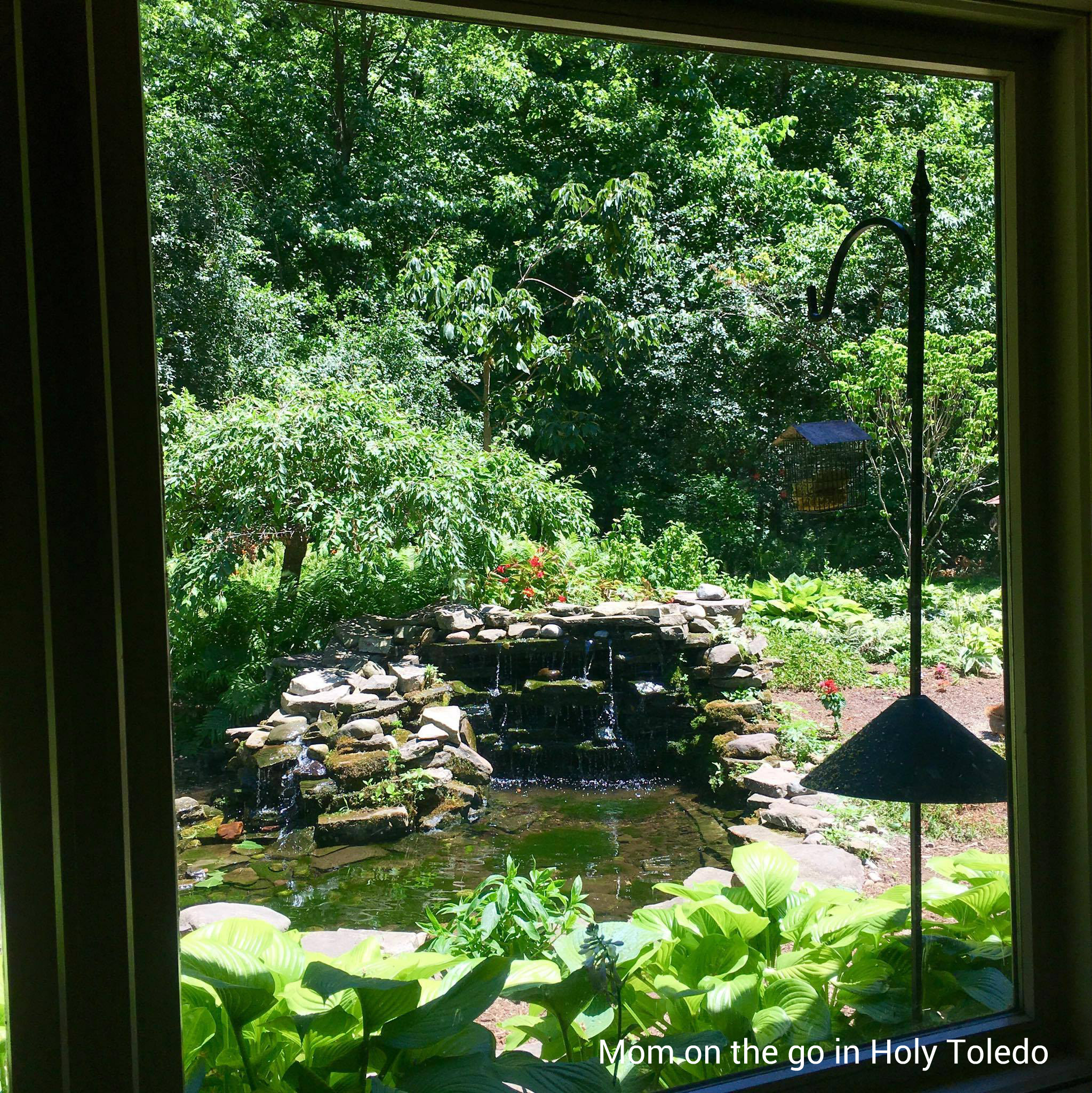 Toledo Treasure: Pearson Metropark – Mom on the go in Holy Toledo