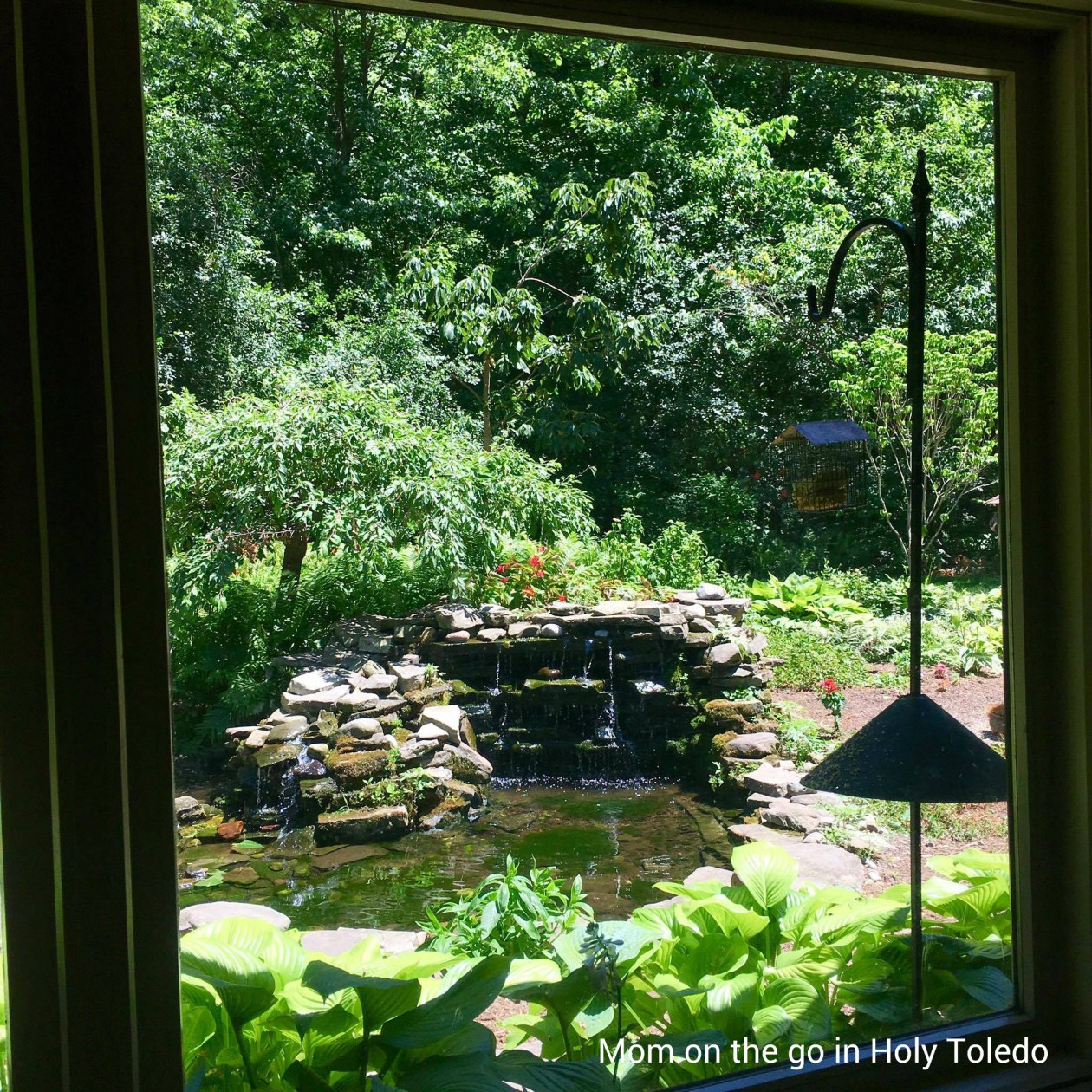 Toledo Treasure: Pearson Metropark – Mom on the go in Holy Toledo