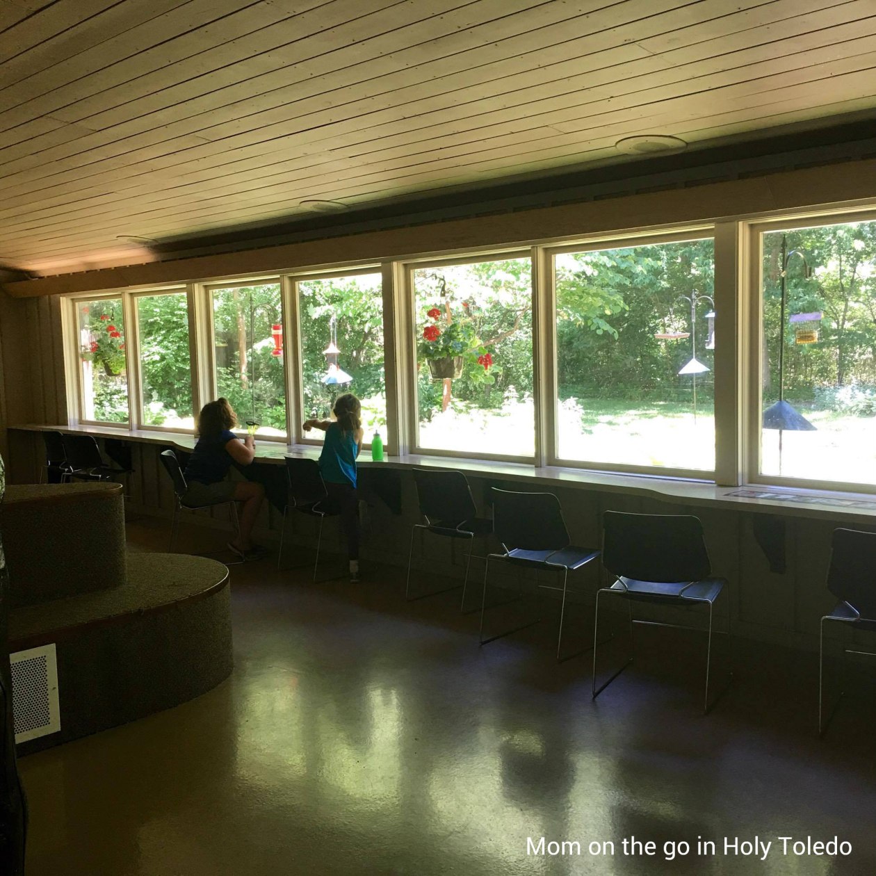 Toledo Treasure: Pearson Metropark – Mom on the go in Holy Toledo