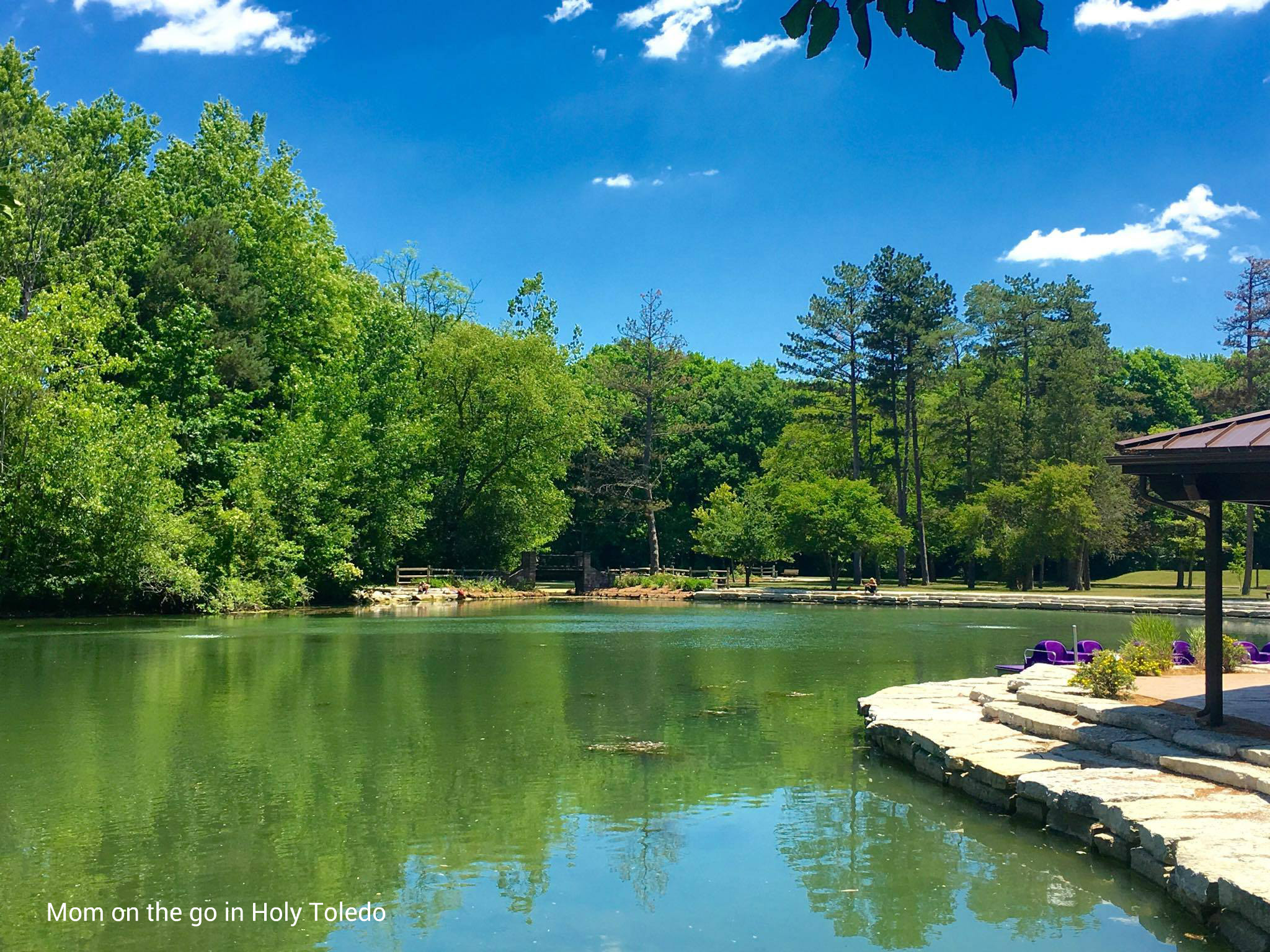 Toledo Treasure: Pearson Metropark – Mom on the go in Holy Toledo