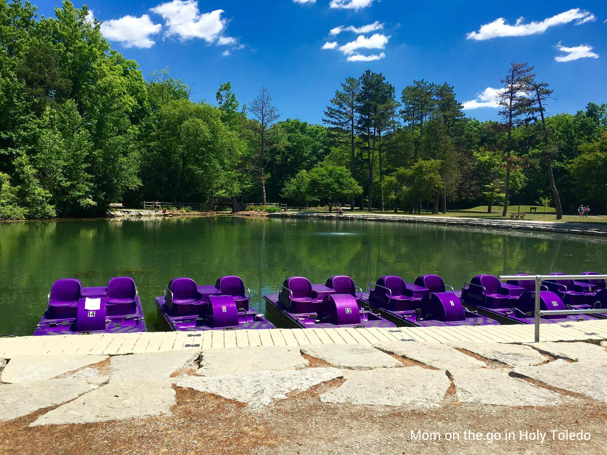Toledo Treasure: Pearson Metropark – Mom on the go in Holy Toledo