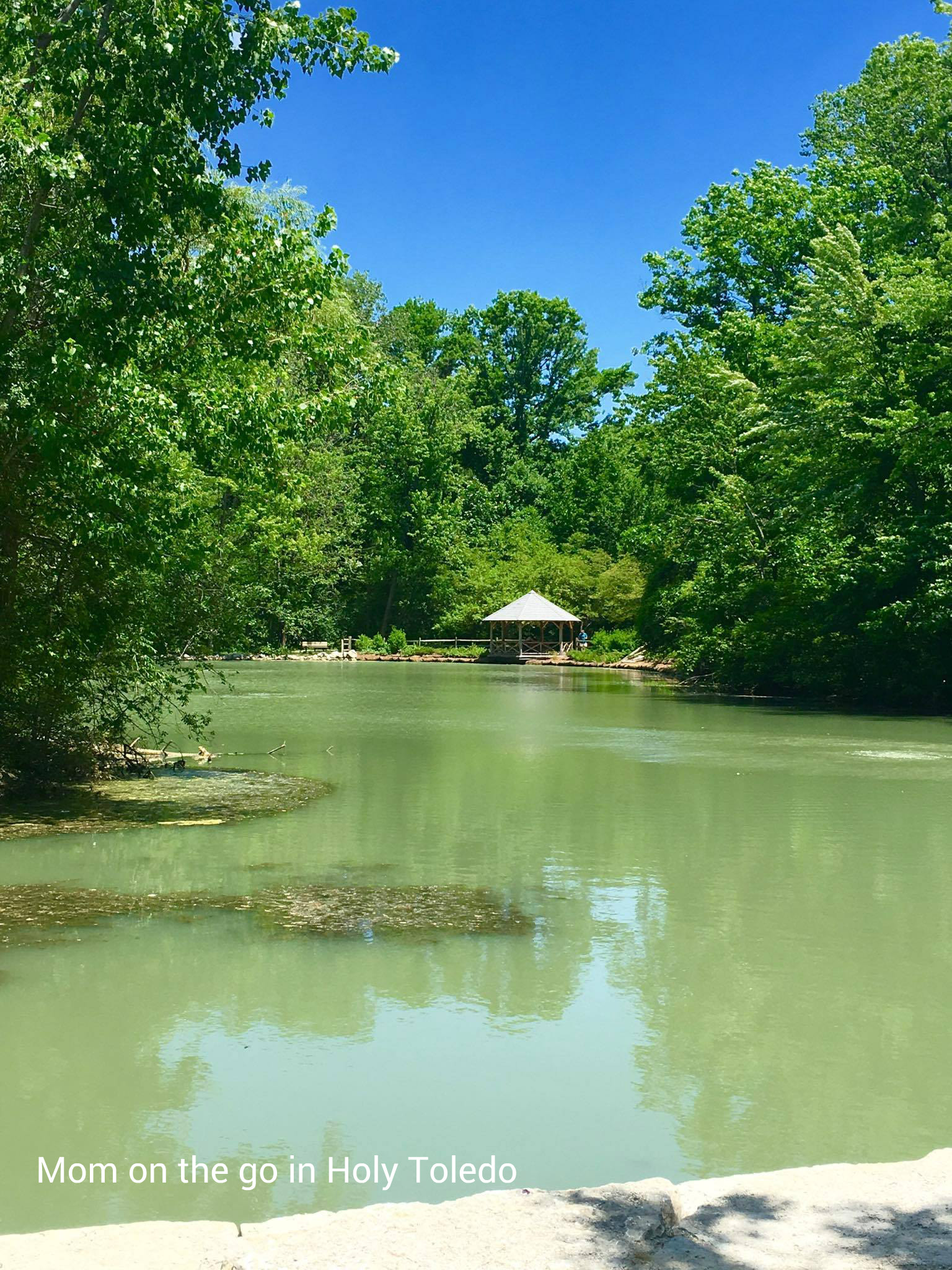 Toledo Treasure: Pearson Metropark – Mom on the go in Holy Toledo