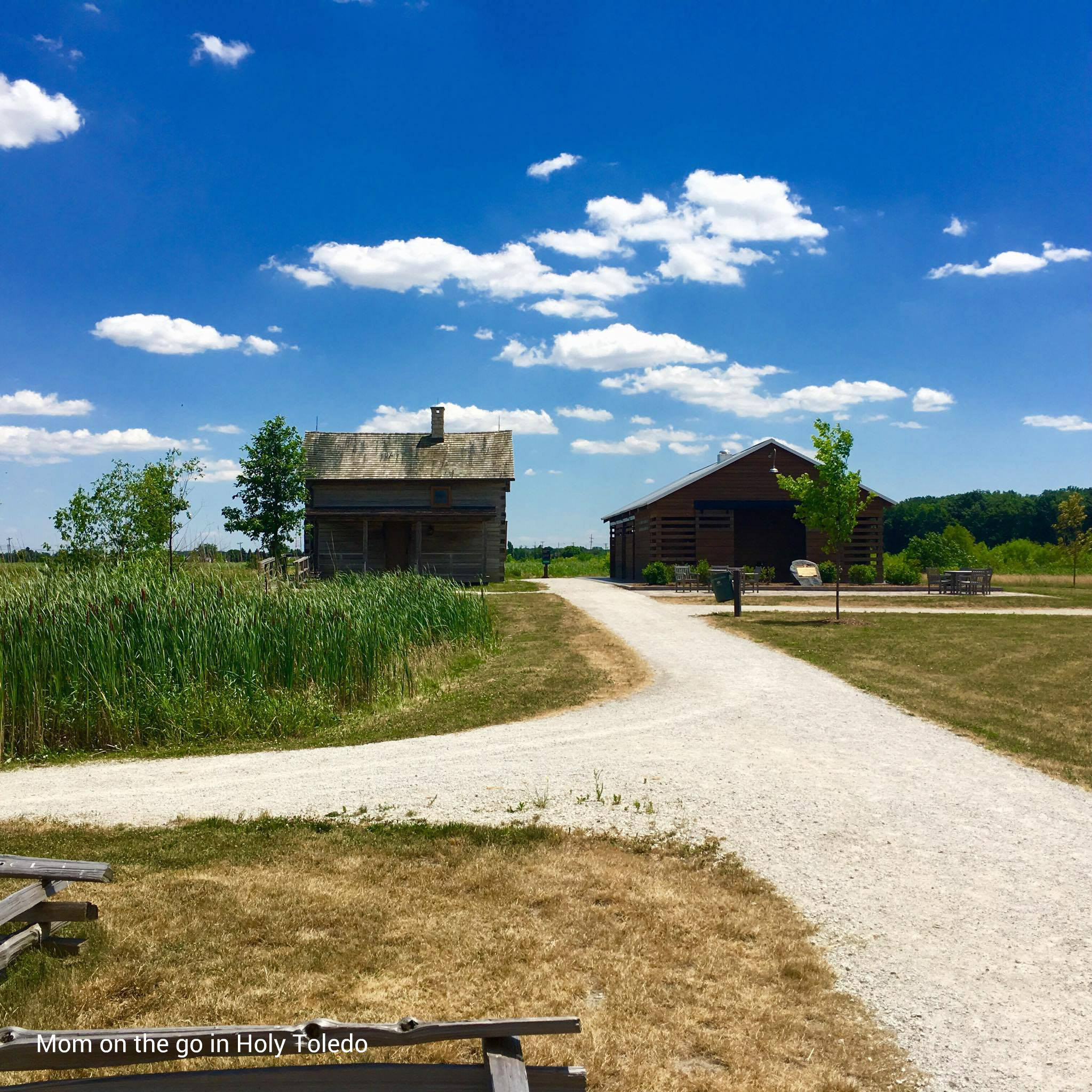 Toledo Treasure: Pearson Metropark – Mom on the go in Holy Toledo