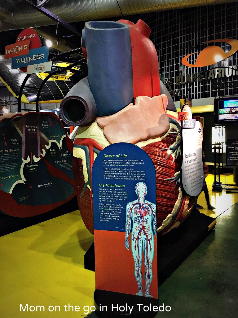 Michigan Science Center – Mom on the go in Holy Toledo