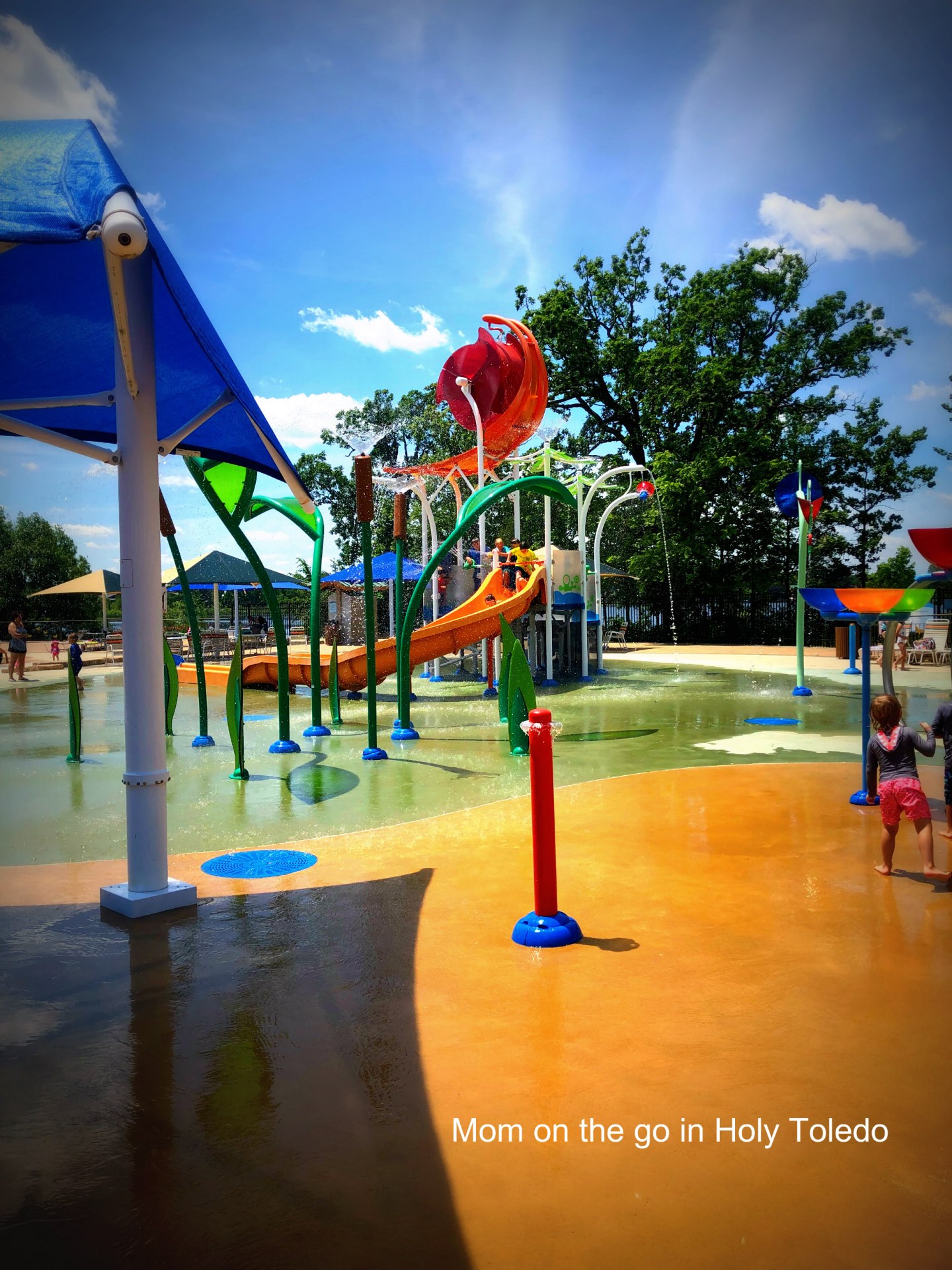 Discover Blue Heron Bay Splash Park: Summer Fun Awaits!