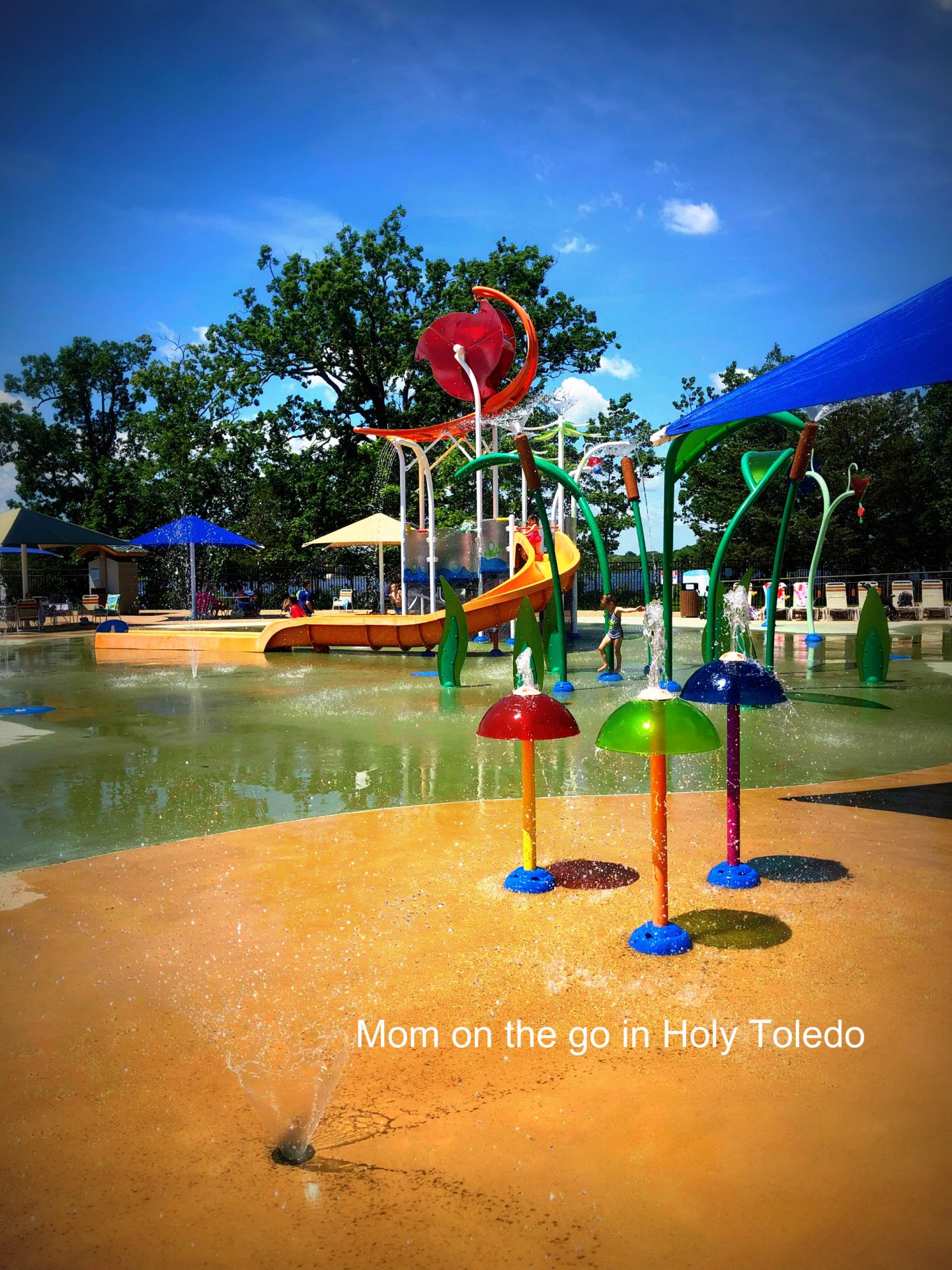 Discover Blue Heron Bay Splash Park: Summer Fun Awaits!