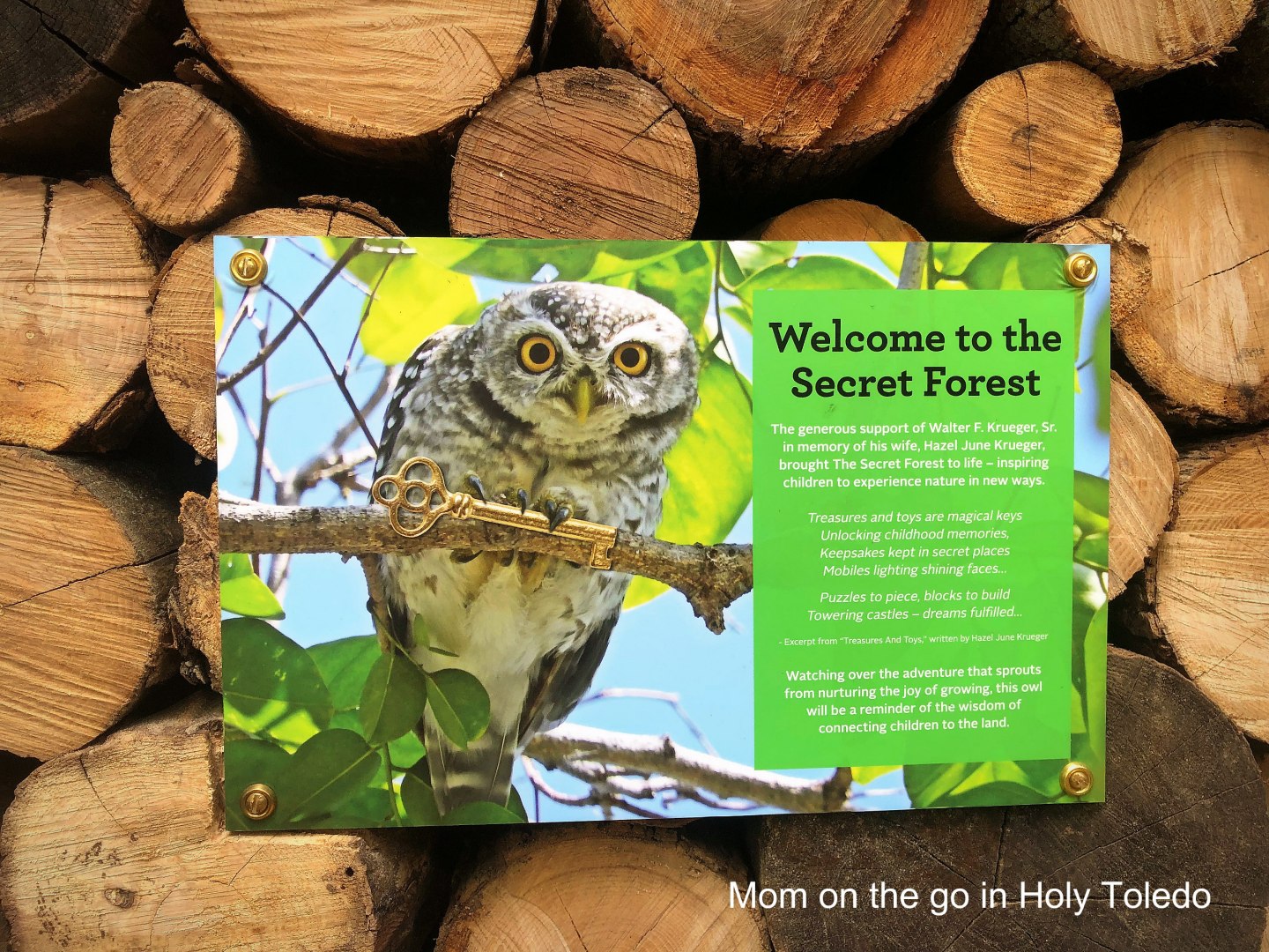 Explore Toledo's Botanical Gardens: A Hidden Childhood Adventure