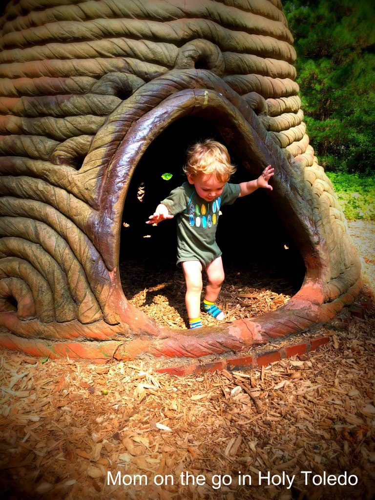 Secret Forest with a Hidden Treehouse in Toledo – Mom on the go in Holy ...