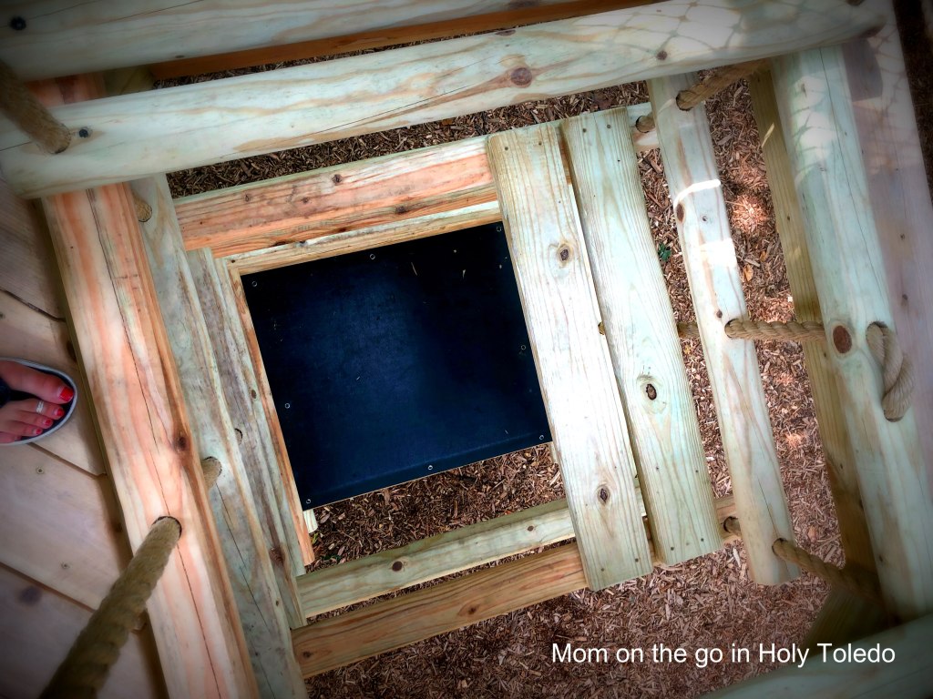 Secret Forest with a Hidden Treehouse in Toledo – Mom on the go in Holy ...