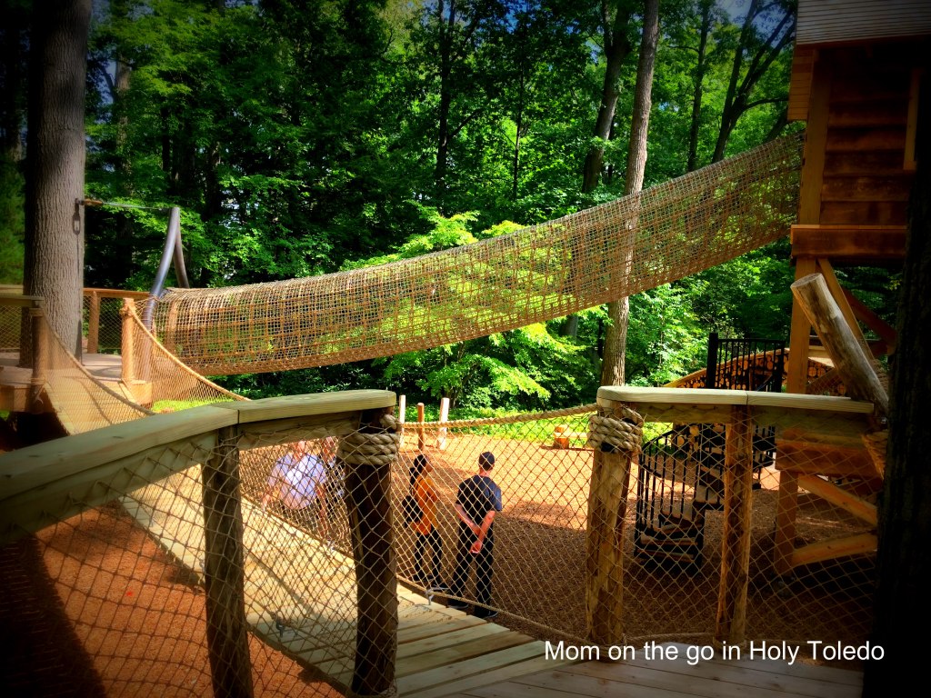 Secret Forest with a Hidden Treehouse in Toledo – Mom on the go in Holy ...