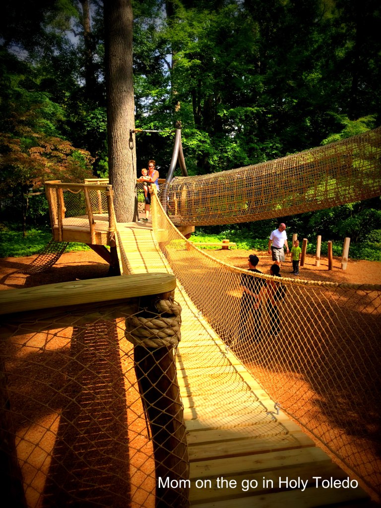 Secret Forest with a Hidden Treehouse in Toledo – Mom on the go in Holy ...