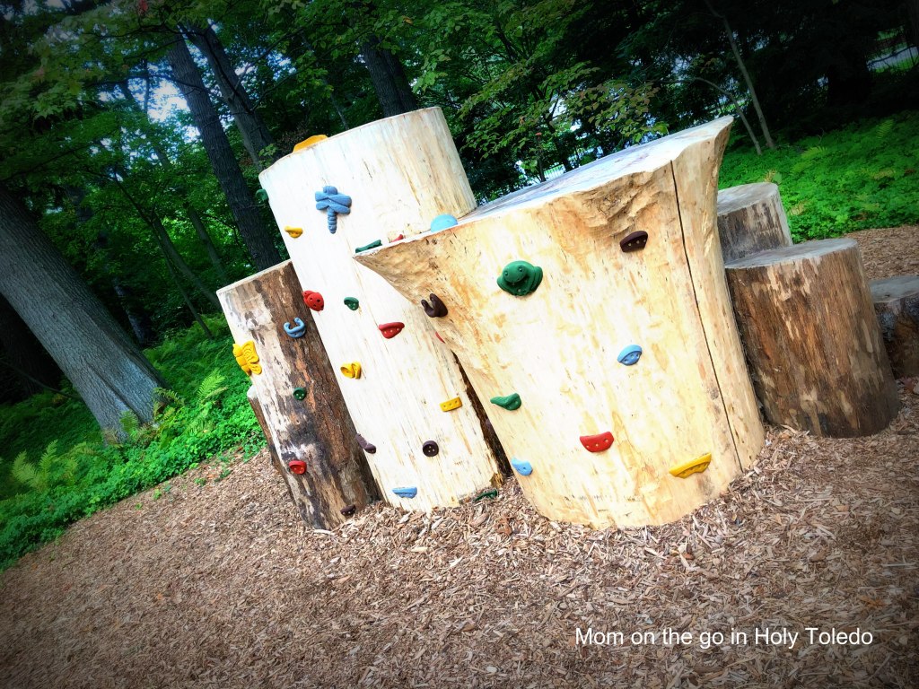 Secret Forest with a Hidden Treehouse in Toledo – Mom on the go in Holy ...