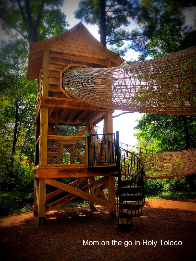 Secret Forest with a Hidden Treehouse in Toledo – Mom on the go in Holy ...