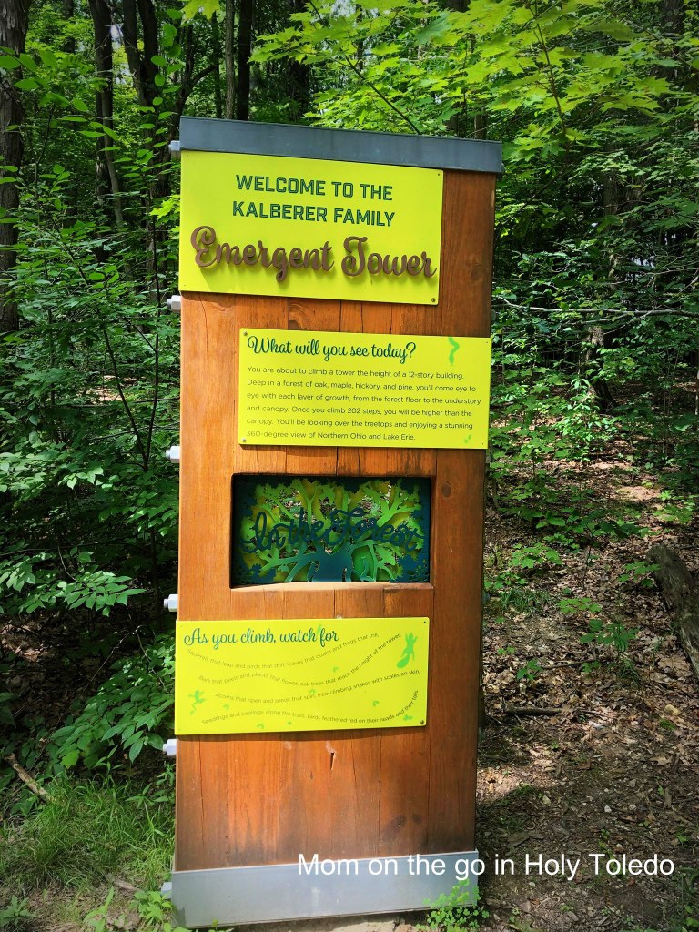 Holden Arboretum Forests & Gardens Where Adventure Lives – Mom on the ...